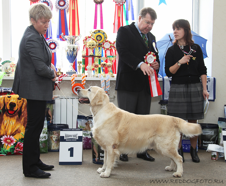 Russian Retriever Club Show 'Retriever Spring - spring 2011' - The ...