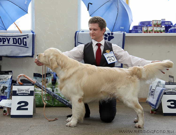 Russian Retriever Club Show 'Retriever Spring - spring 2011' - The ...