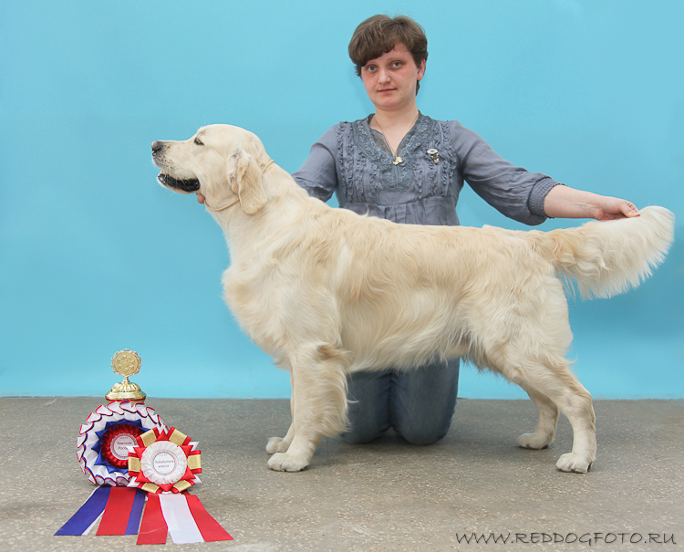 Russian Retriever Club Show 'Retriever Spring - spring 2011' - The ...